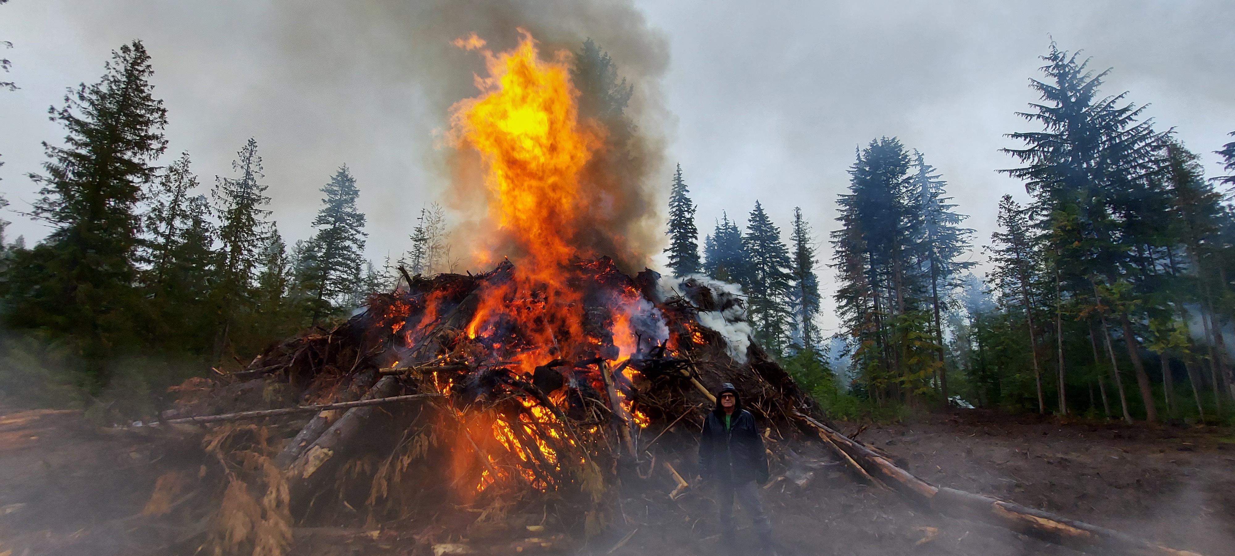 Pack River Woods Logging – 2022 – Pack River Woods